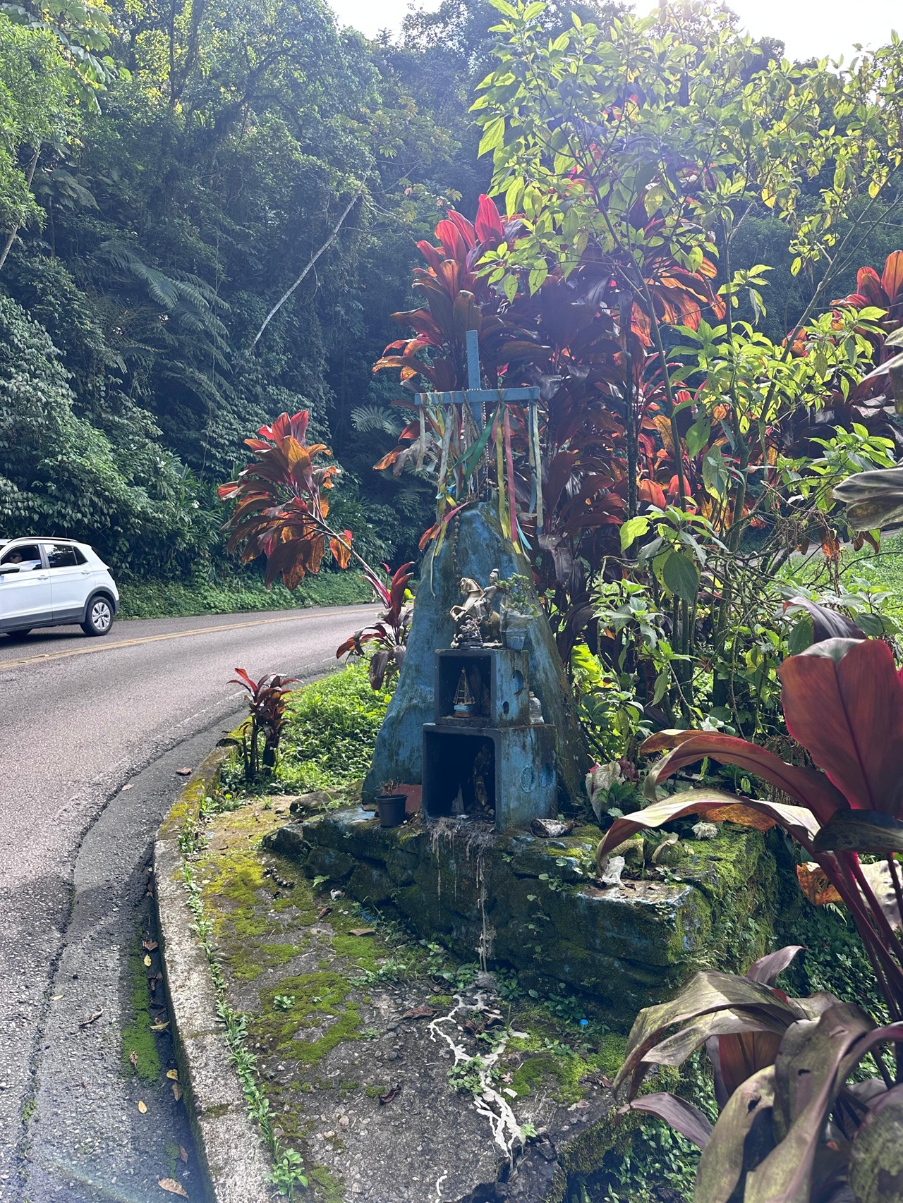 A Rodovia Oswaldo Cruz - Curiosidades de Ubatuba